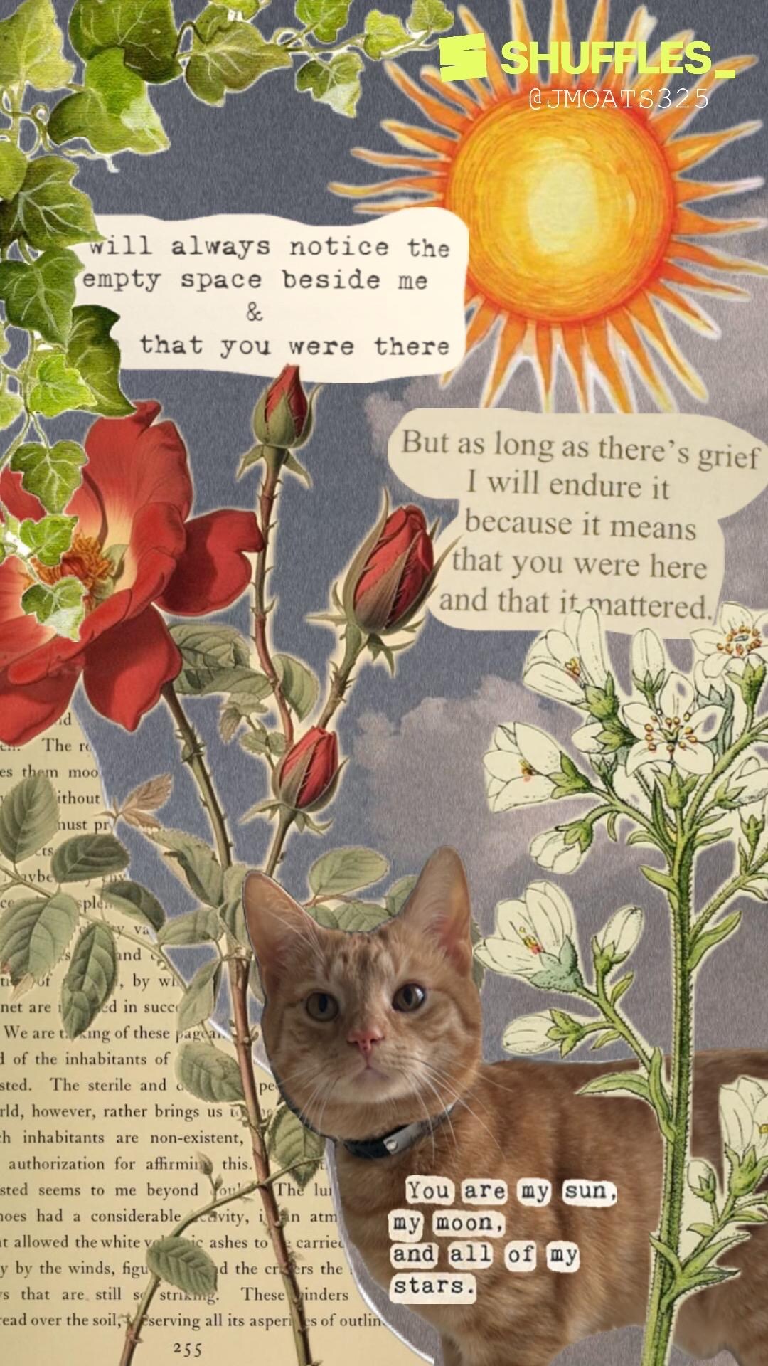 Custom Pet Wallpaper for Phone, Memorial Collage Wallpaper Lock Screen ...