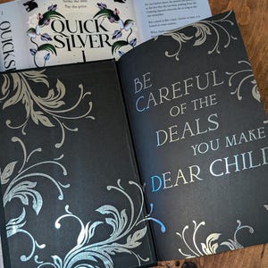 SIGNED 1st Edition Quicksilver by Callie Hart Custom Stencil Sprayed ...