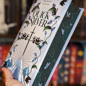 SIGNED 1st Edition Quicksilver by Callie Hart Custom Stencil Sprayed ...