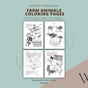 Filipino Farm Animals Coloring Pages 20 Printable PDF | Animas Coloring ...