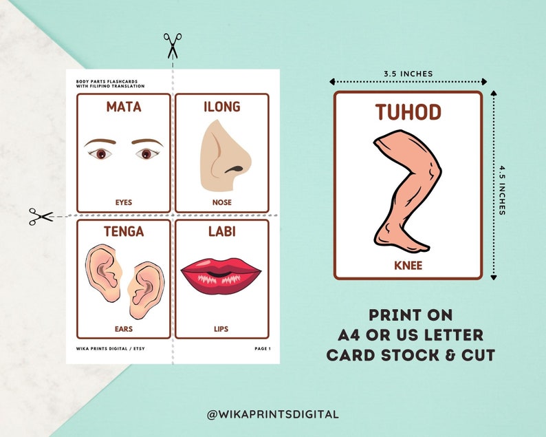 Body Parts Flashcards (28 Cards) W/ Filipino Translation - Filipino ...