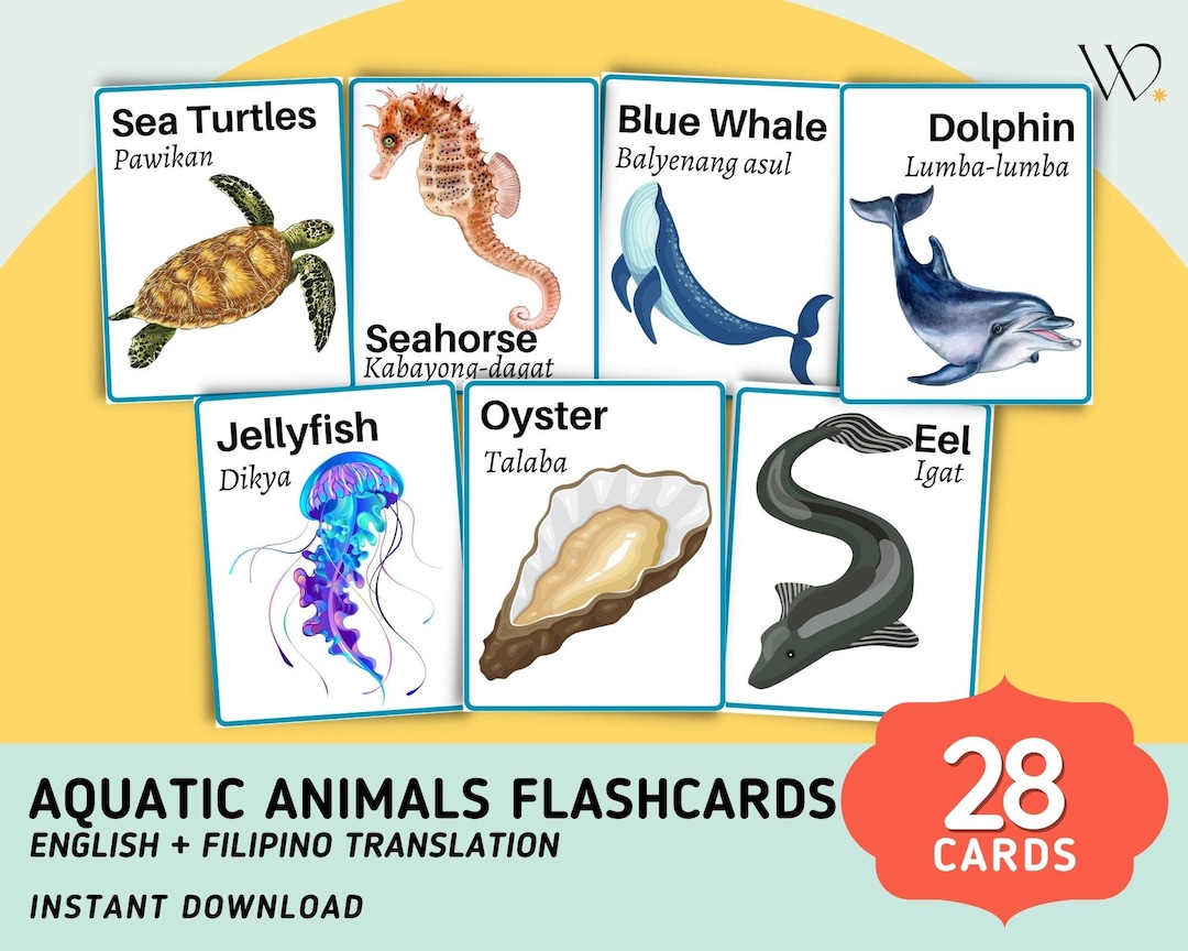 Aquatic Animals (28) Flashcards - Tagalog Flashcards With English ...