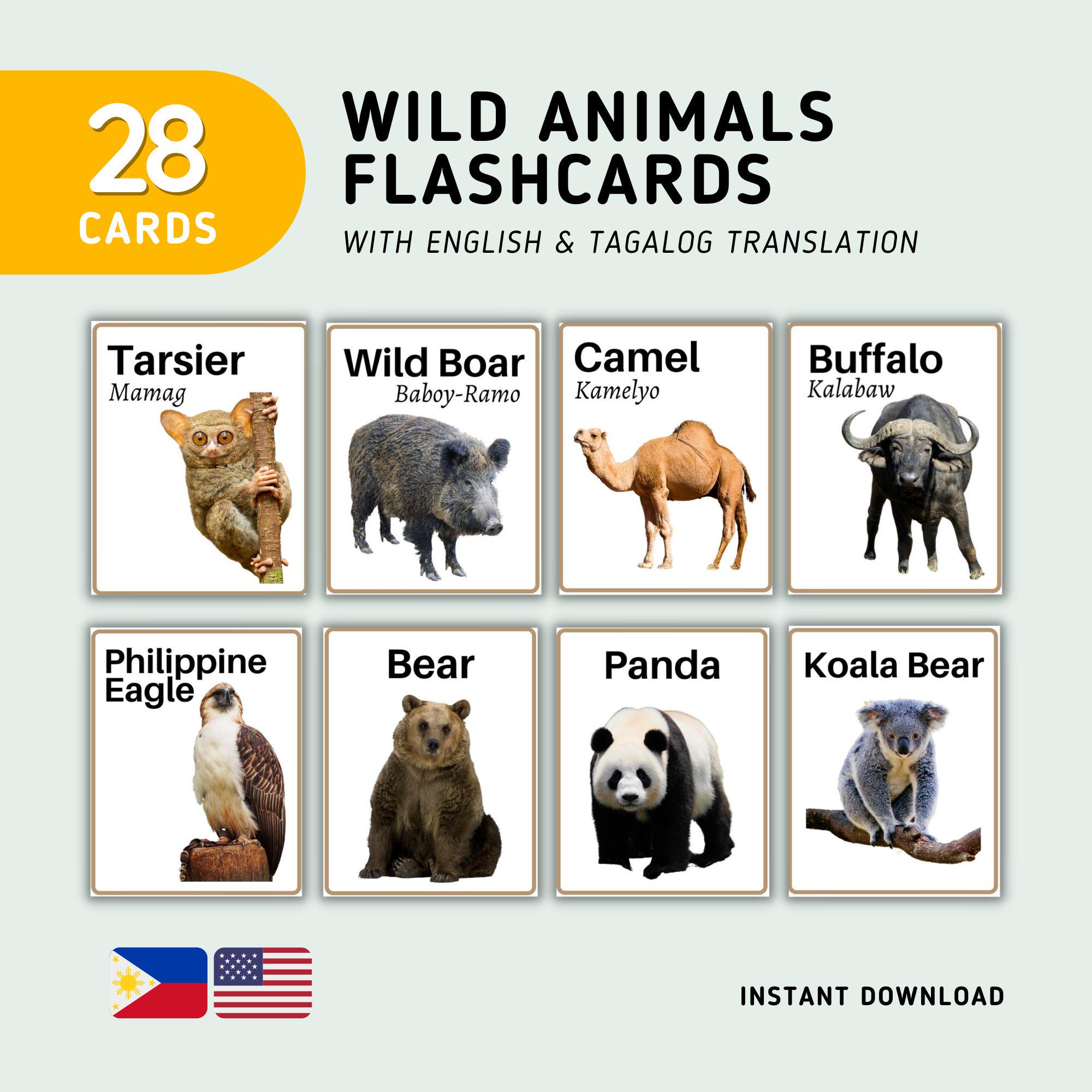 Wild Animals (28 Cards) Flashcards - Tagalog Animals Flashcards With ...