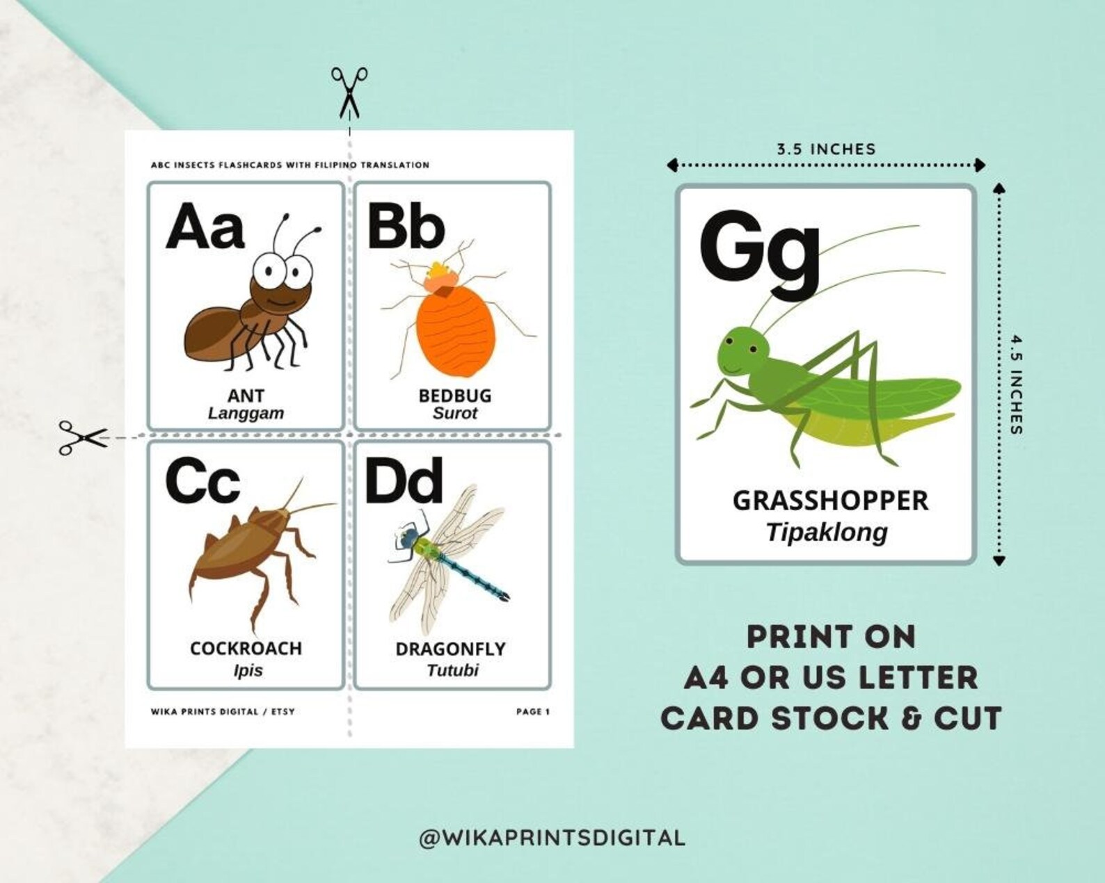 Insect Abc's Flashcards (26 Cards) W/ Filipino Translation - Filipino ...