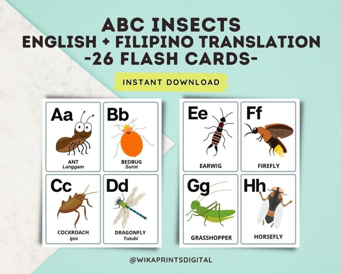 Insect Abc's Flashcards 26 Cards W/ Filipino Translation - Etsy