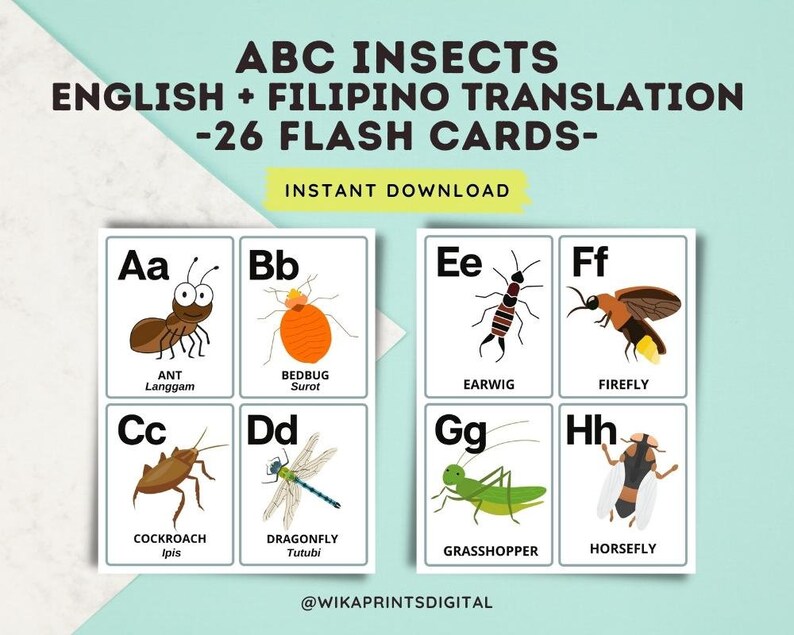 Insect Abc's Flashcards (26 Cards) W/ Filipino Translation - Filipino ...