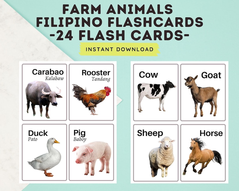 Farm Animals (24 Cards) Flashcards - Tagalog Flashcards With English ...