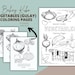 Vegetables Coloring Pages (19 Pages) Printable PDF | Bahay Kubo ...
