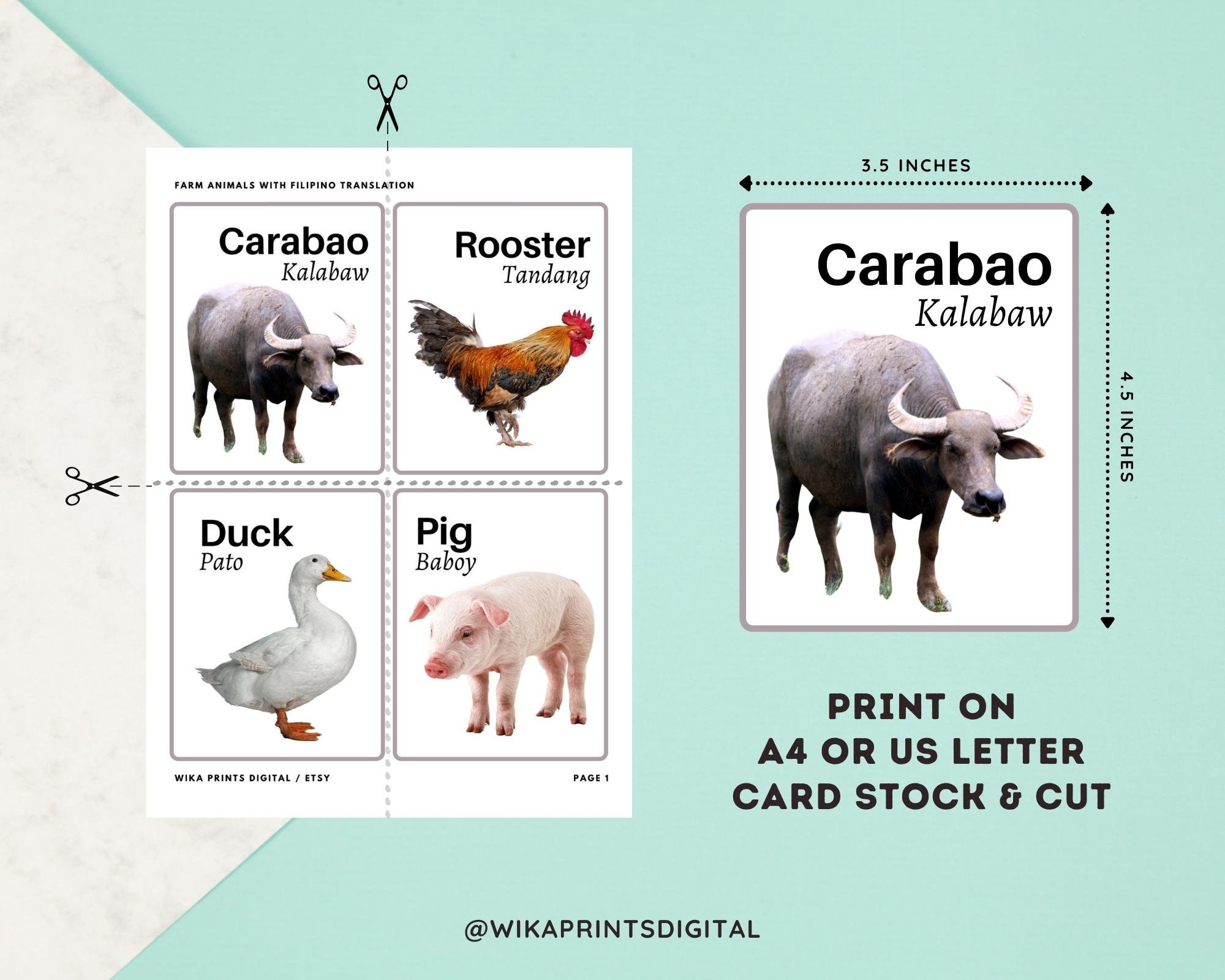 Farm Animals (24 Cards) Flashcards - Tagalog Flashcards With English ...