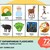 Bahay Kubo Vegetables (18 Cards) Flashcards - Tagalog Flashcards With ...