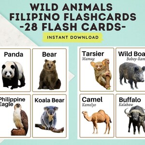 Wild Animals (28 Cards) Flashcards - Tagalog Animals Flashcards With ...