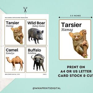 Wild Animals (28 Cards) Flashcards - Tagalog Animals Flashcards With ...