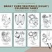 Vegetables Coloring Pages (19 Pages) Printable PDF | Bahay Kubo ...