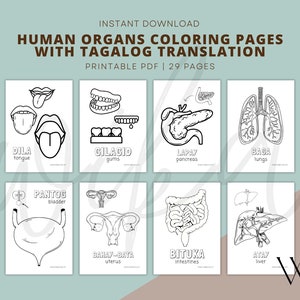 Human Organs Coloring Pages 29 Printable PDF | Filipino Coloring Pages ...