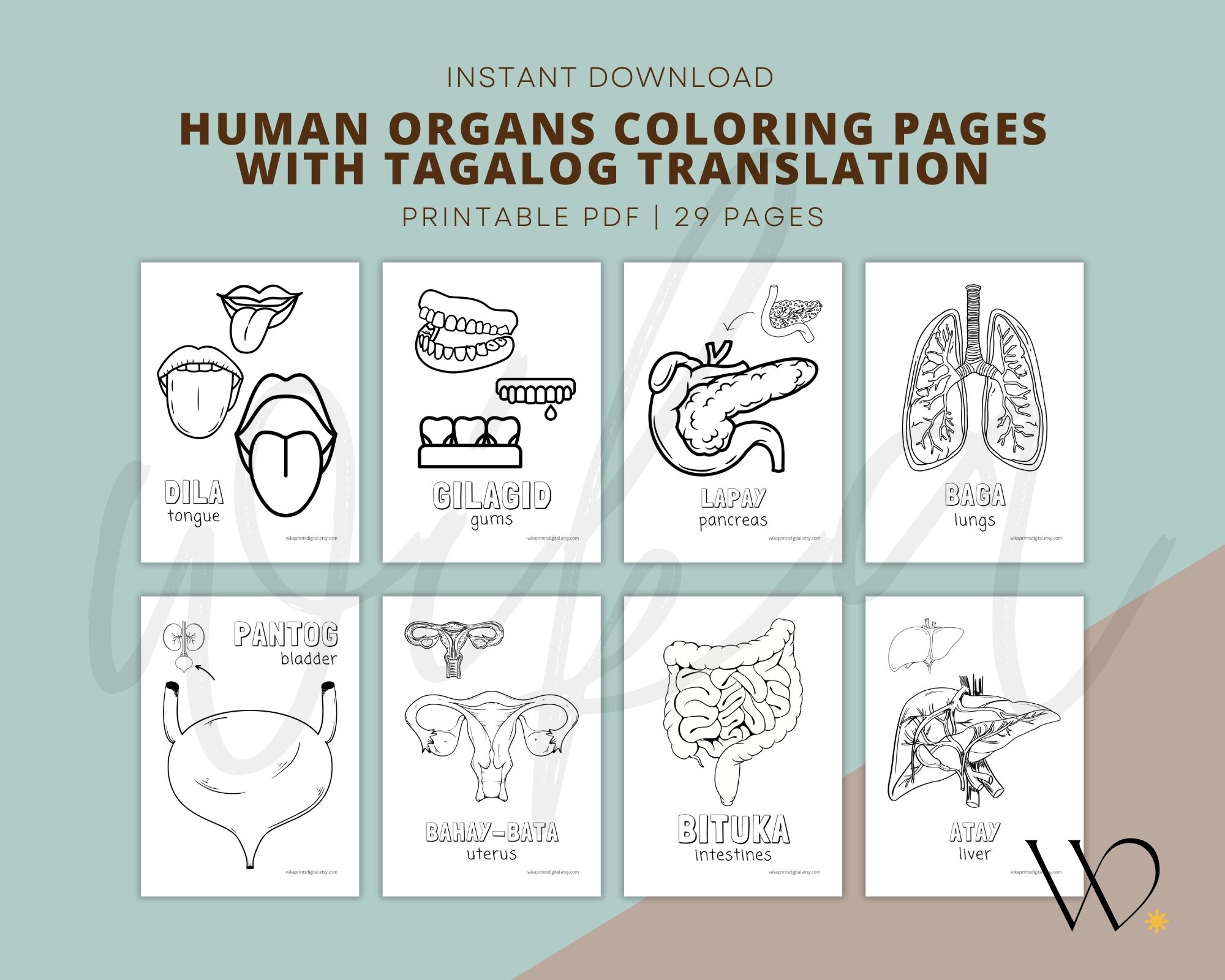 Human Organs Coloring Pages 29 Printable PDF | Filipino Coloring Pages ...