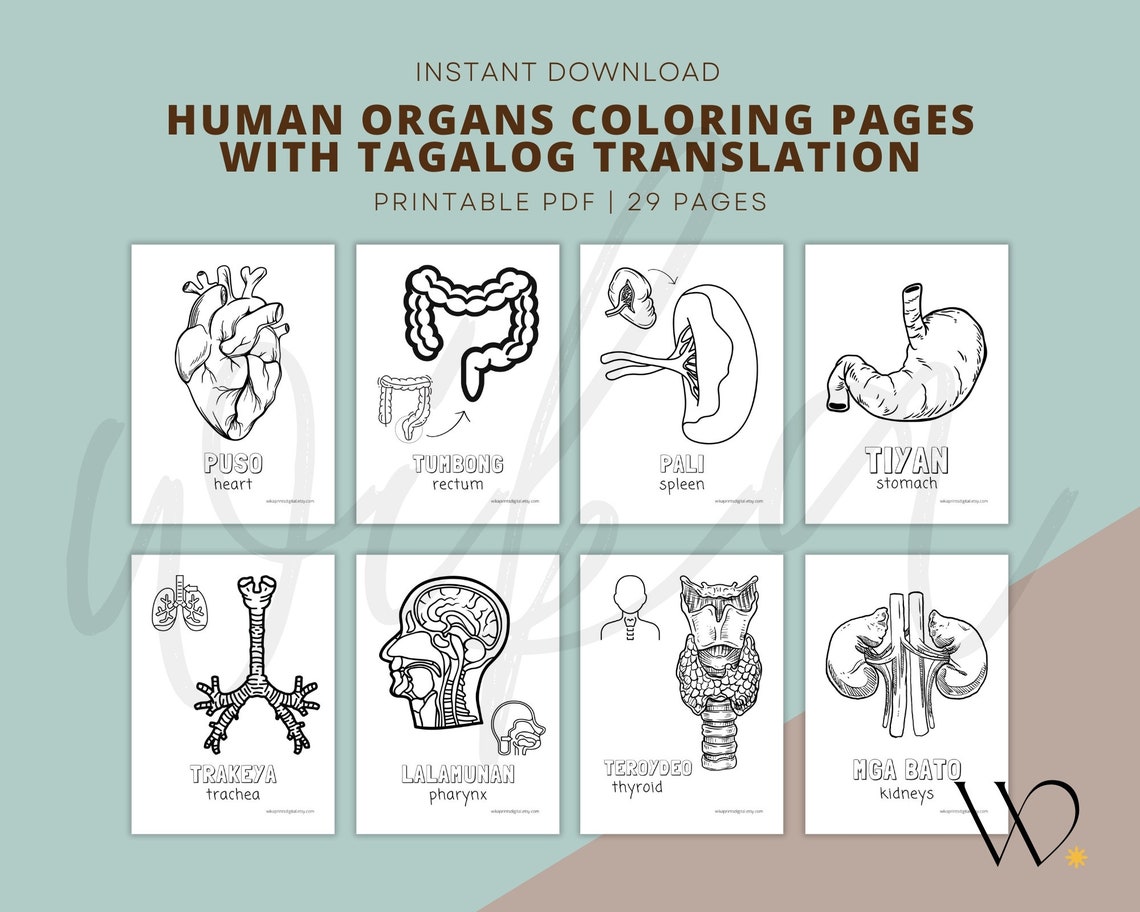 Human Organs Coloring Pages 29 Printable PDF | Filipino Coloring Pages ...
