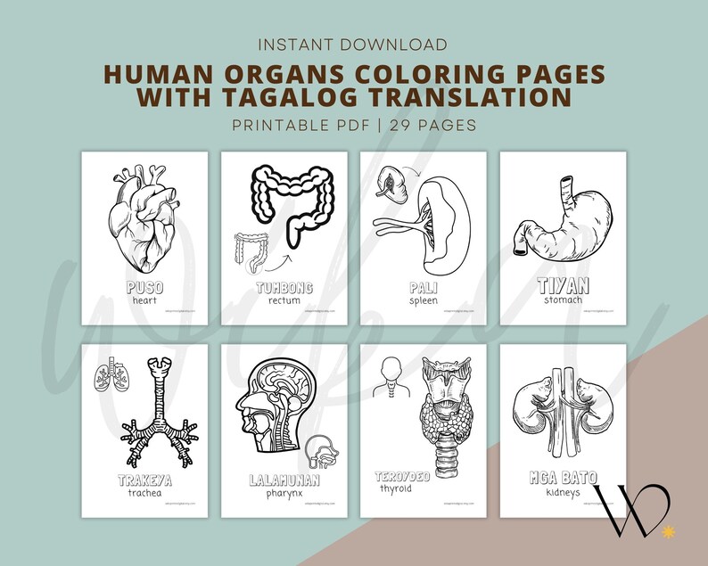 Human Organs Coloring Pages 29 Printable PDF | Filipino Coloring Pages ...