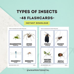 Insects Flashcards 48 Cards With Tagalog Translation Filipino Printable ...