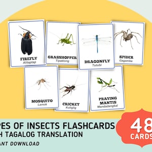 Insects Flashcards 48 Cards With Tagalog Translation Filipino Printable ...