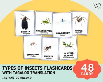 Basic Filipino Words 64 Cards Flashcards Tagalog Flashcards With ...
