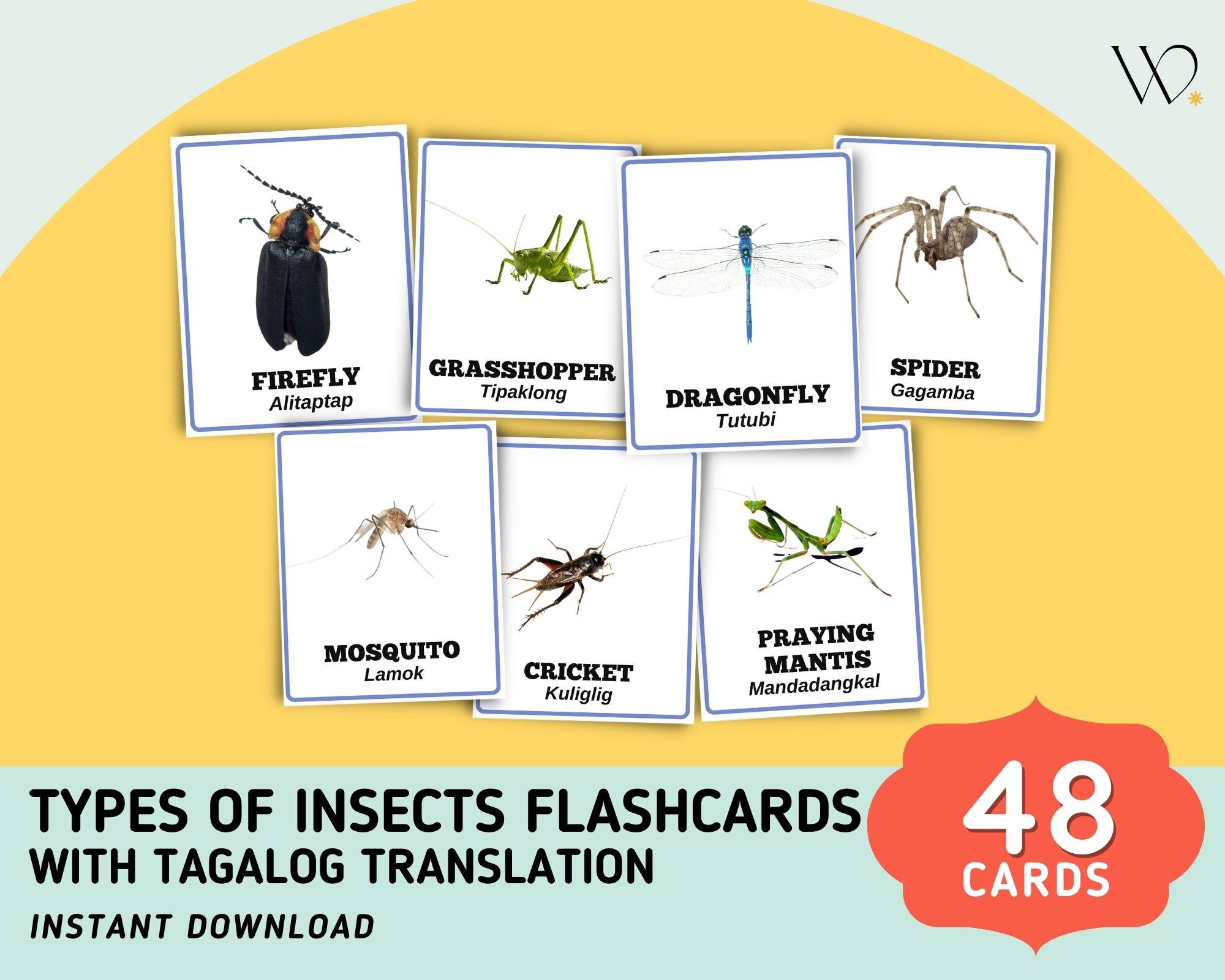 Insects Flashcards 48 Cards With Tagalog Translation - Etsy