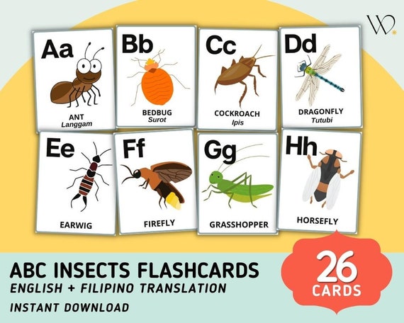 Insect Abc's Flashcards 26 Cards W/ Filipino Translation - Etsy