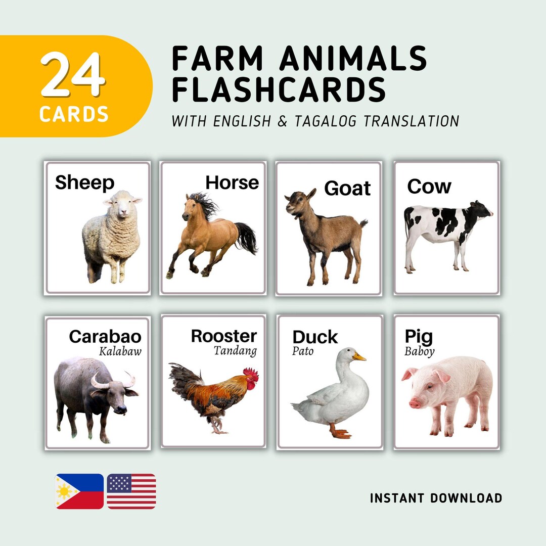 Farm Animals (24 Cards) Flashcards - Tagalog Flashcards With English ...