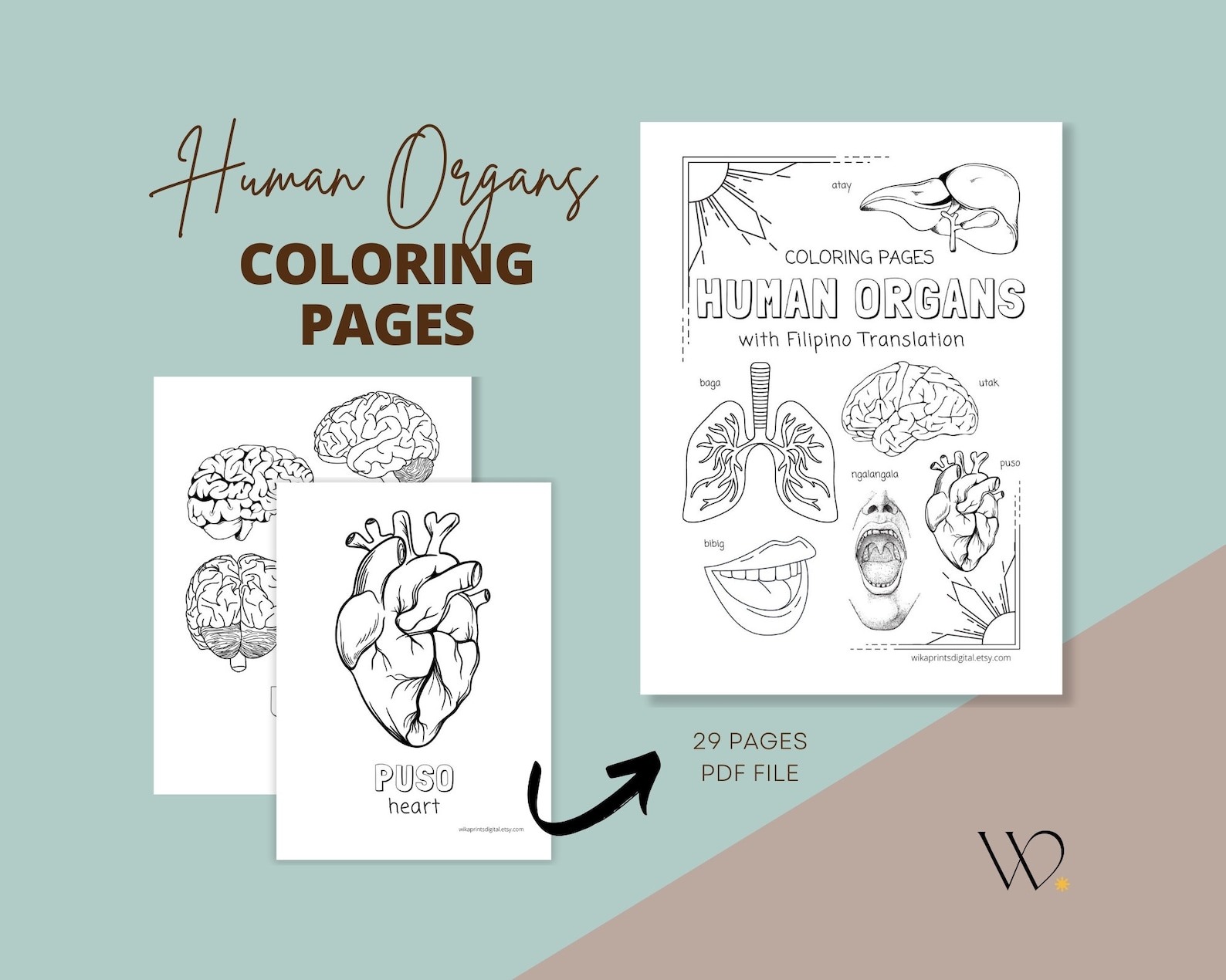 Human Organs Coloring Pages 29 Printable PDF | Filipino Coloring Pages ...