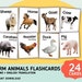 Farm Animals 24 Cards Flashcards Tagalog Flashcards With English ...