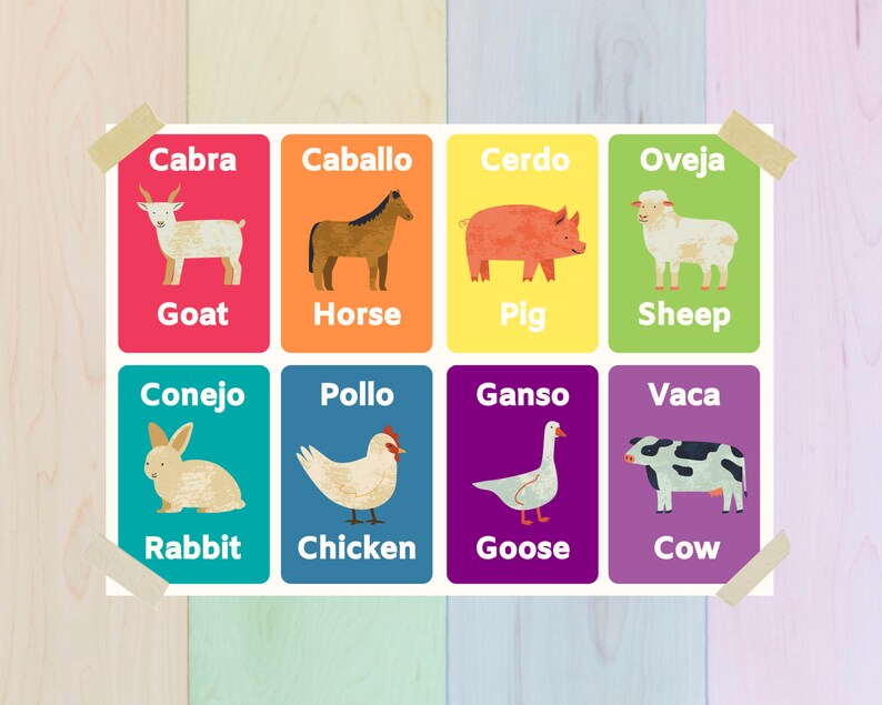 Spanish & English Farm Animal and Insect Bilingual Flashcards ...