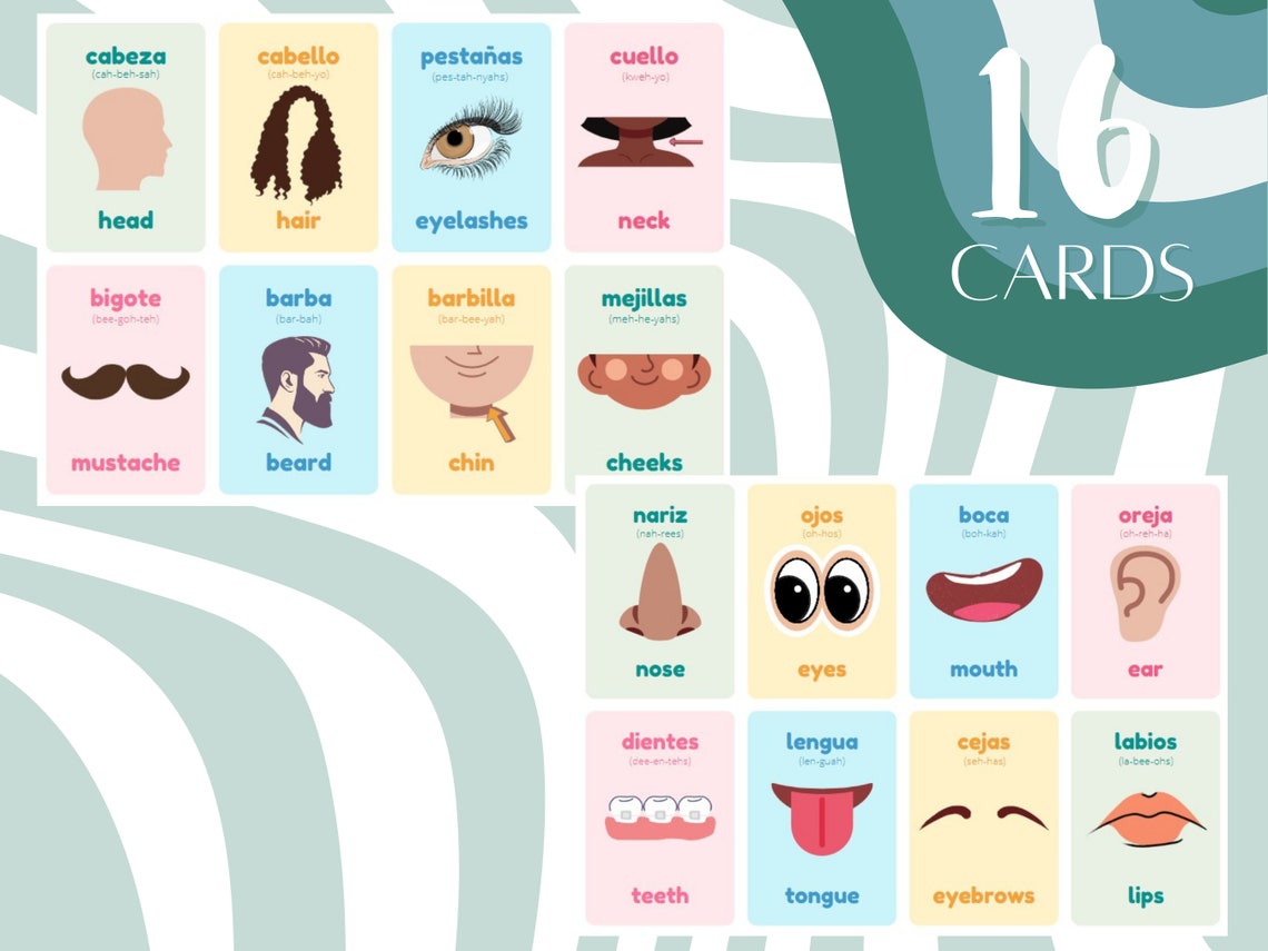 Spanish & English Flashcards Parts of Body: Face/head - Etsy