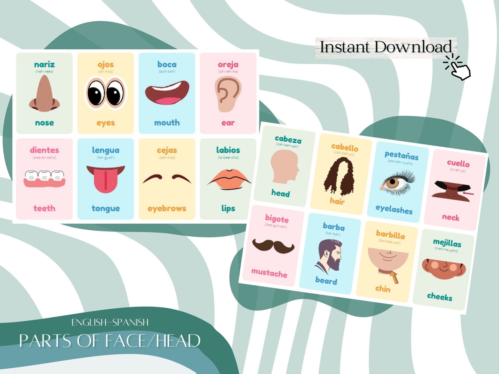 Spanish & English Flashcards Parts of Body: Face/head - Etsy