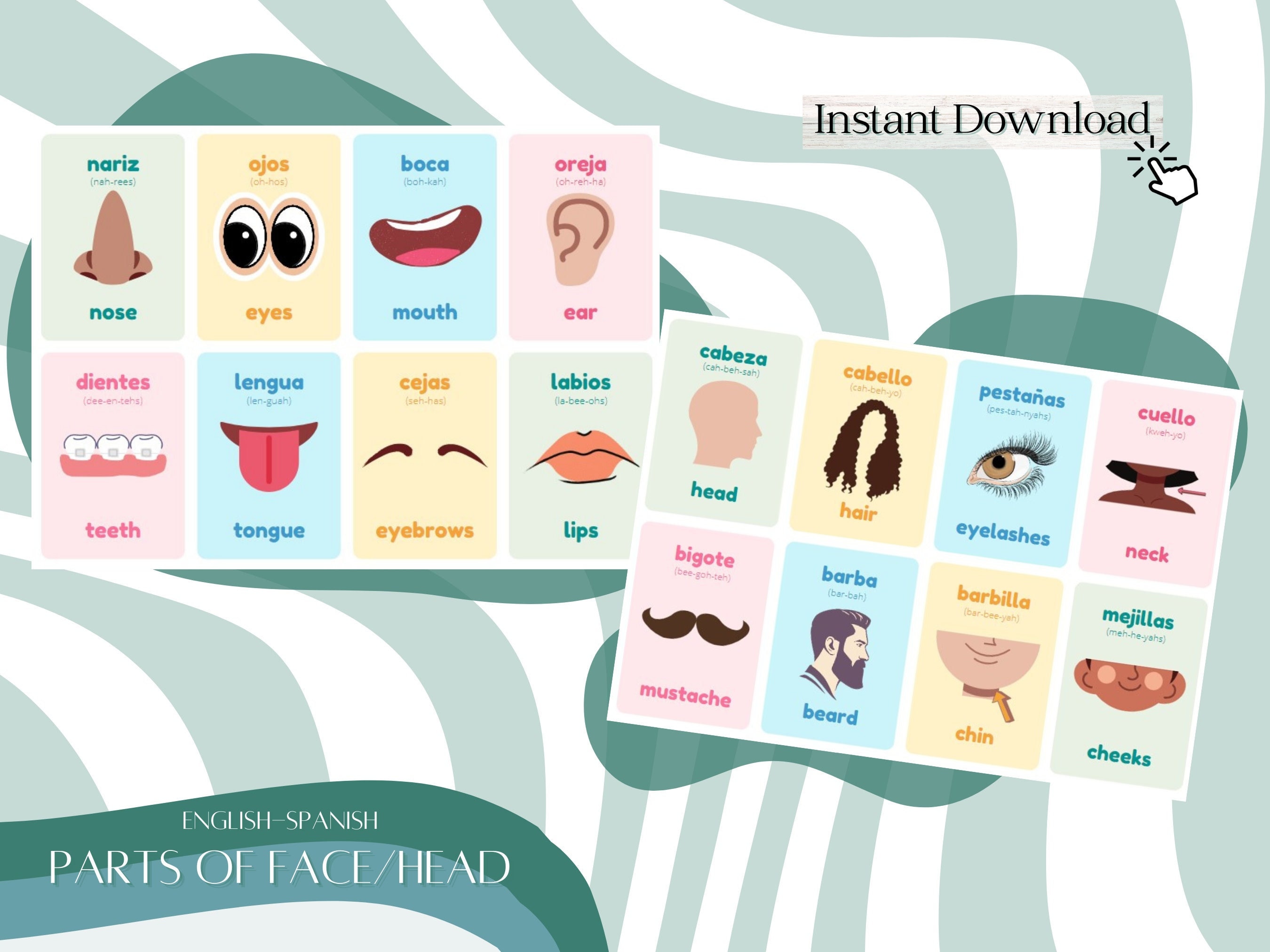 Spanish & English Flashcards Parts of Body: Face/head, Homeschool ...