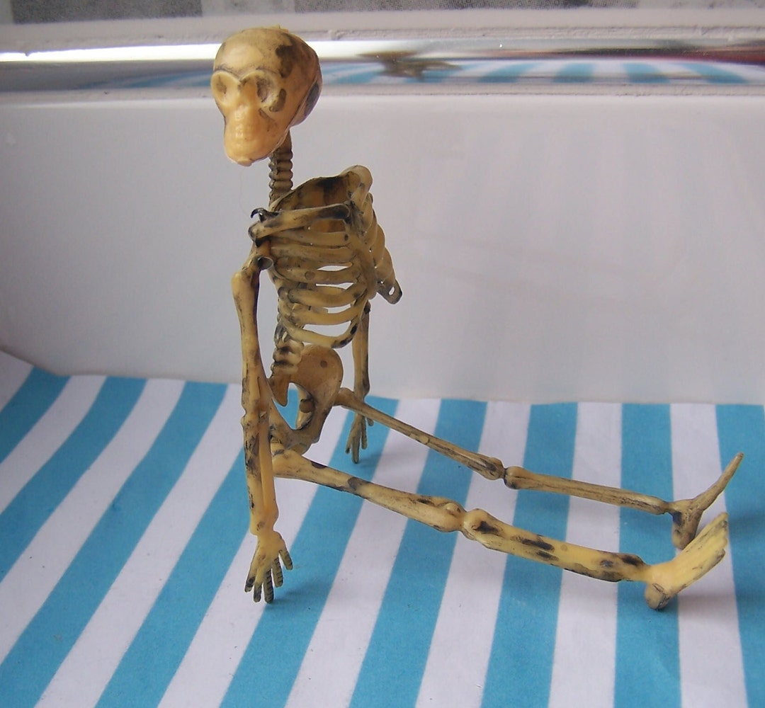 Skeleton, 12th Scale Miniature, Male, Bones, Halloween, Dolls House ...