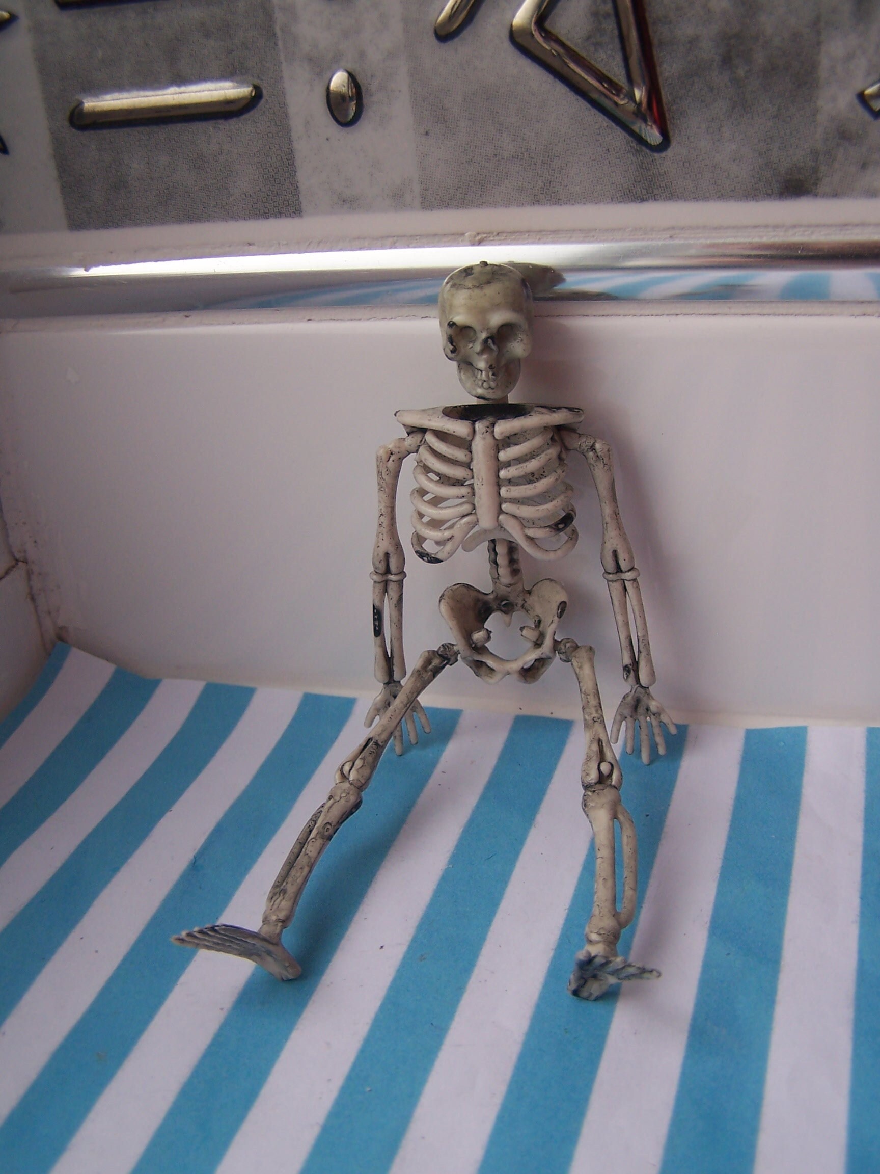 Dolls House Skeleton 12th Scale Female Bones Hospital - Etsy