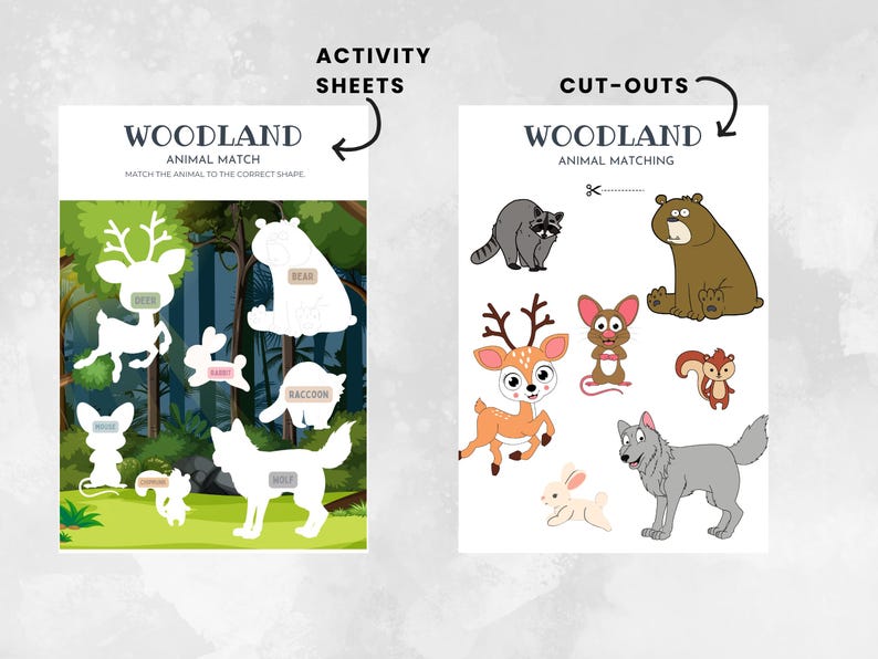 Woodland Animal Matching Activity, Preschooler Activities, Matching ...