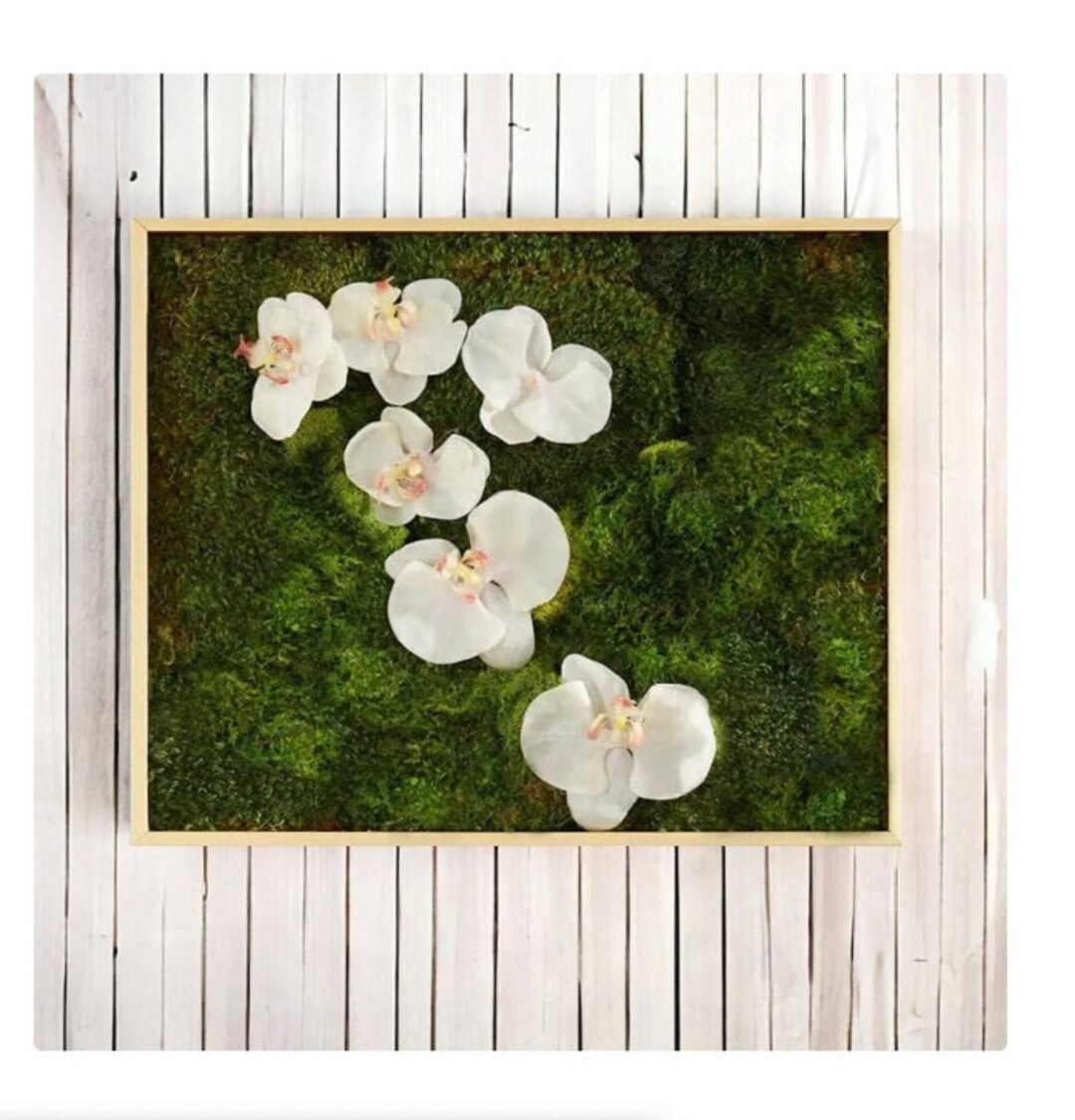 Preserved Moss Art Framed 'orchid Oasis', Real Moss Decor, Moss Wall ...