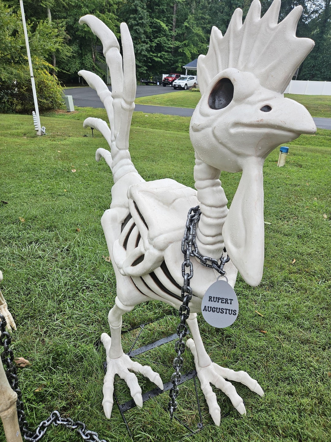 3D Printed TAG ONLY - Customized Oversized Skeleton Chicken/rooster Tag ...