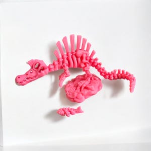 Articulating Spinosaurus Skelly Custom 3D Printed With Fish and ...