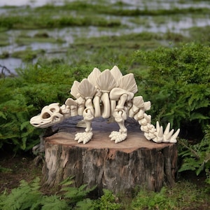 Custom Color Skeleton Stegosaurus Flexy Articulating Dinosaur. Fidget ...
