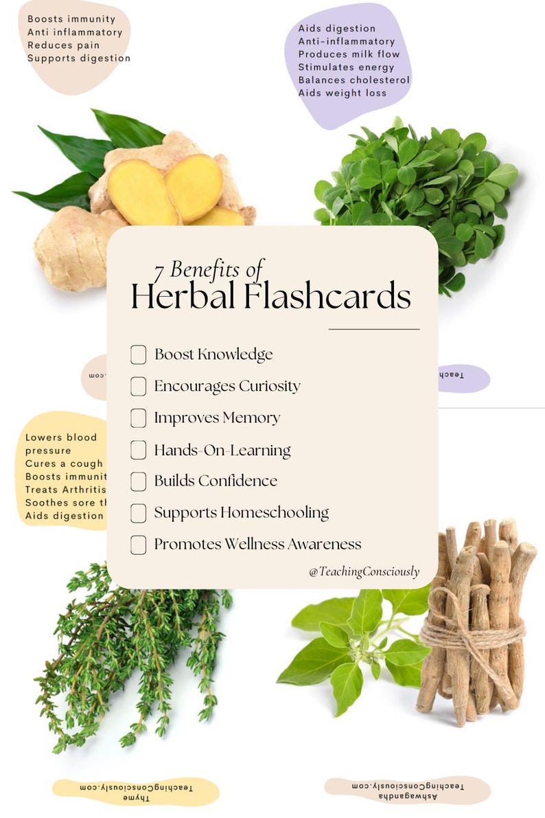 Herbal Flashcards for Kids: Learn Herb Identification (PDF Printable ...