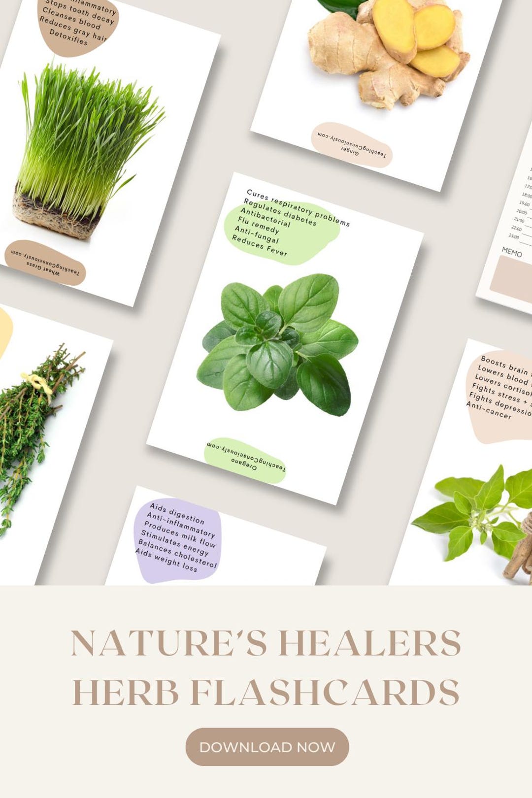 Herbal Flashcards for Kids: Learn Herb Identification (PDF Printable ...