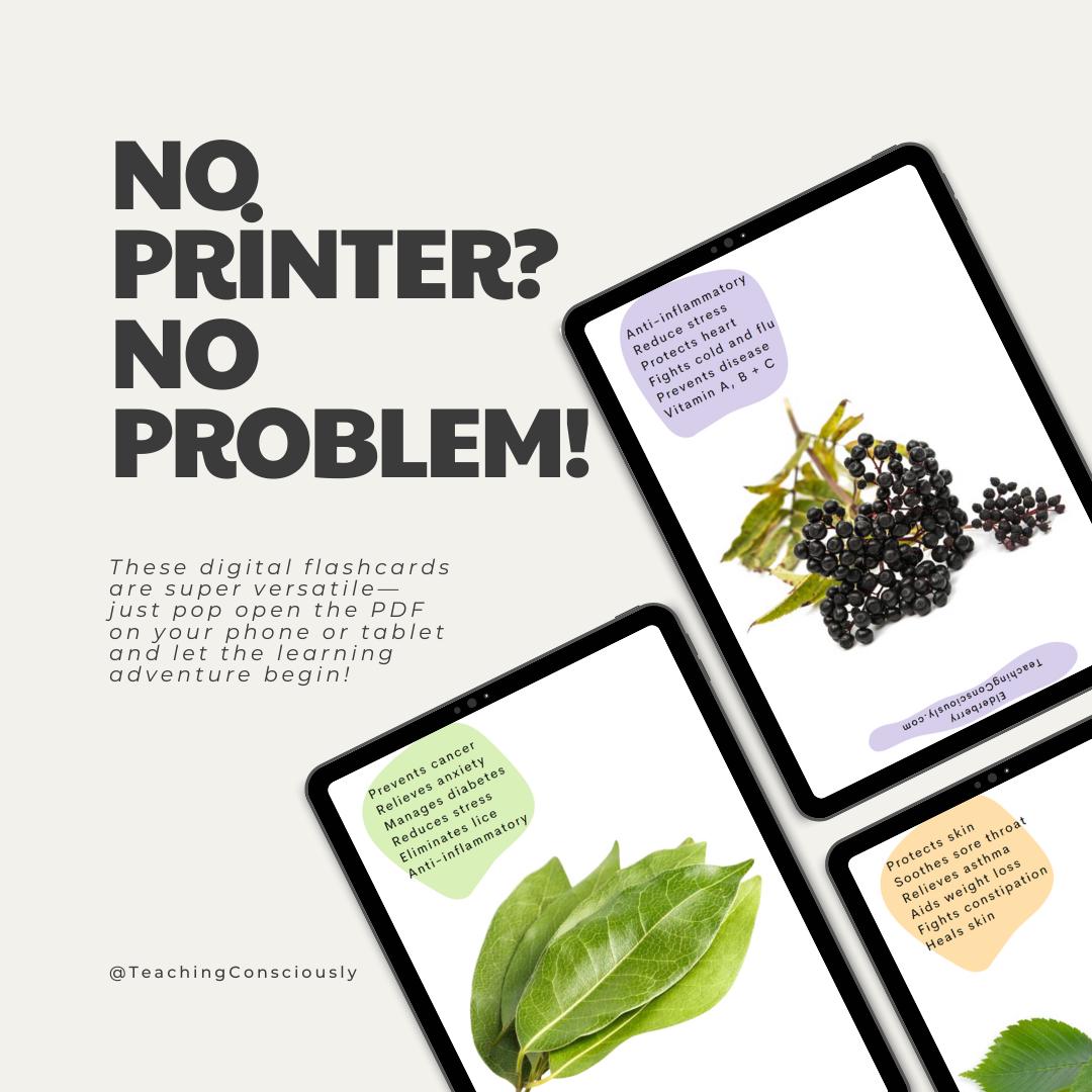 Herbal Flashcards for Kids: Learn Herb Identification (PDF Printable ...