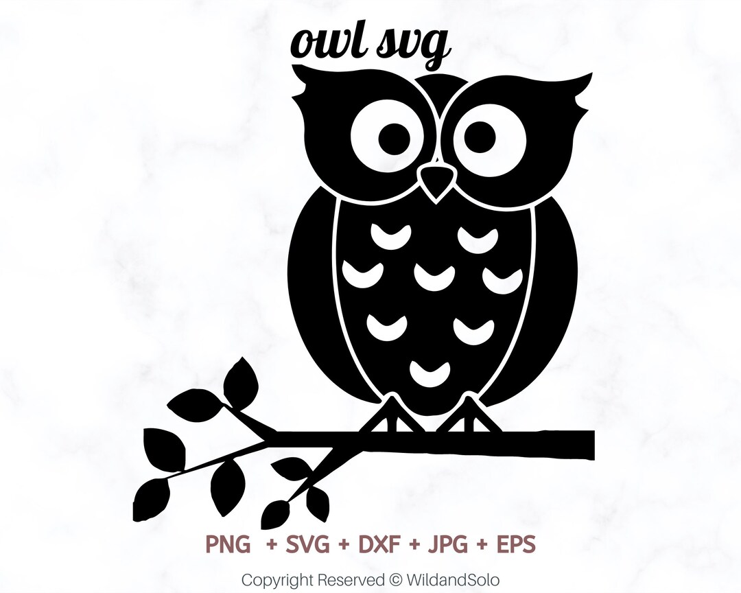 Owl Svg, Owl Svg Files for Silhouette Cricut, Birds Svg, Owl Cut File ...