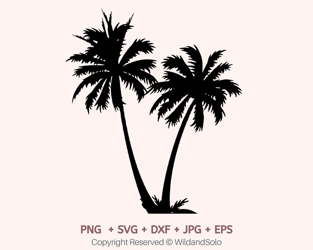 Palmera svg, Palmera Clipart, calcomanía de palmera svg, Silueta de ...