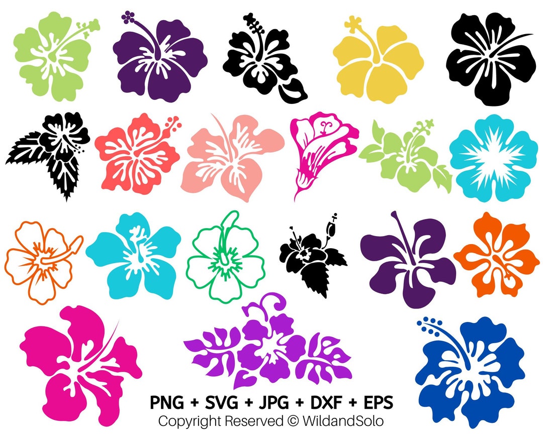 20 Hawaii Hibiscus Flower Svg Bundle, Flowers Clipart, Hawaiian Flower ...
