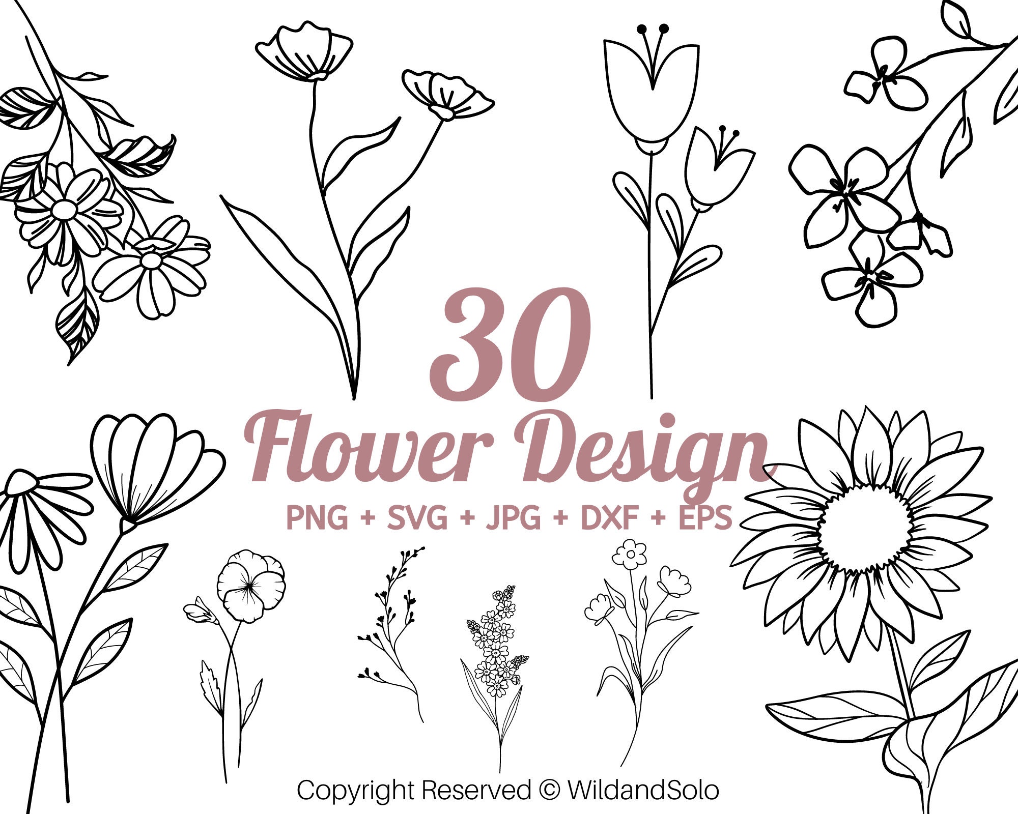 30 Flower Svg Wildflowers Svg Nature Svg Floral Frame Svg - Etsy