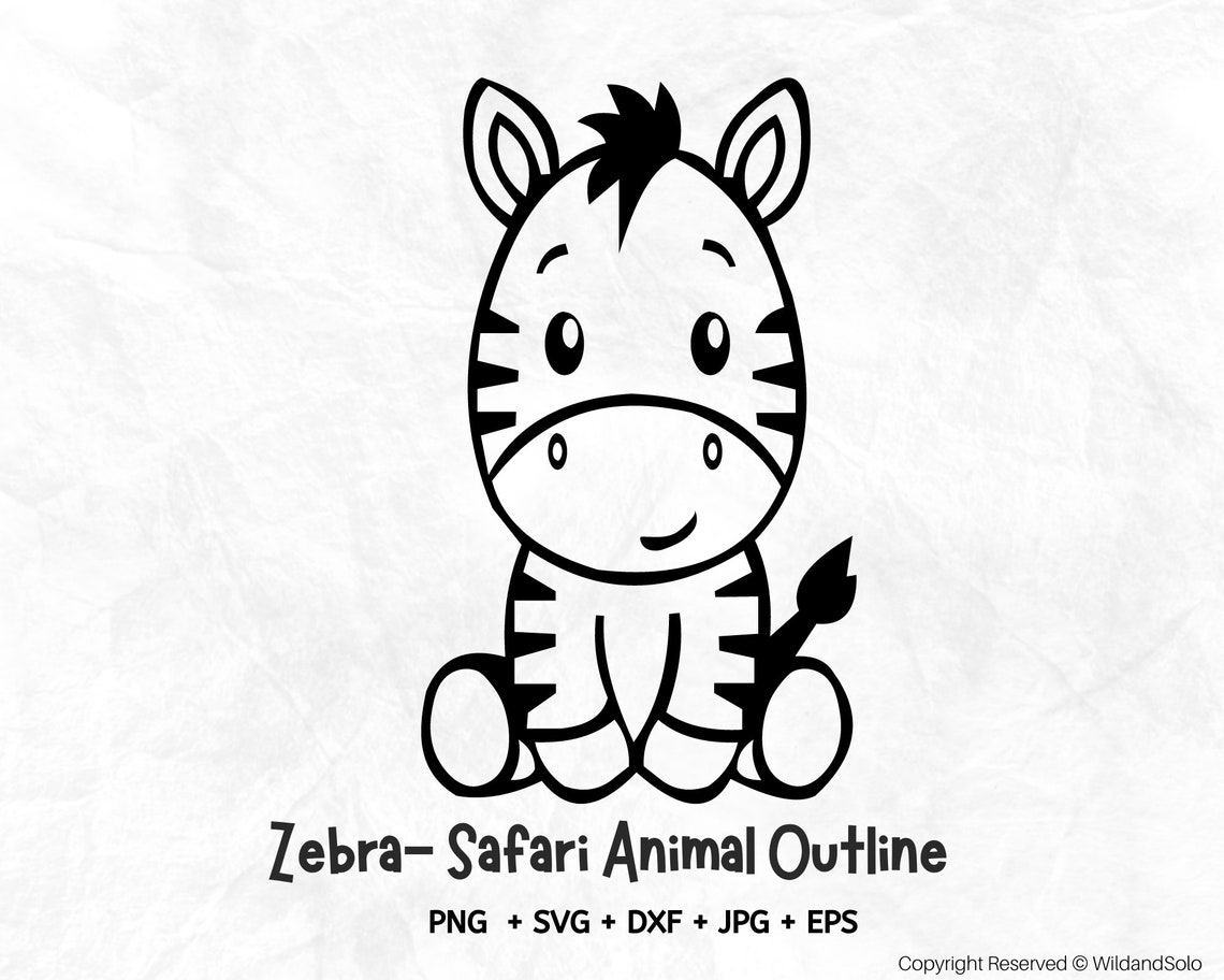 Zebra Svg Split Safari Animals Outline School Classroom - Etsy