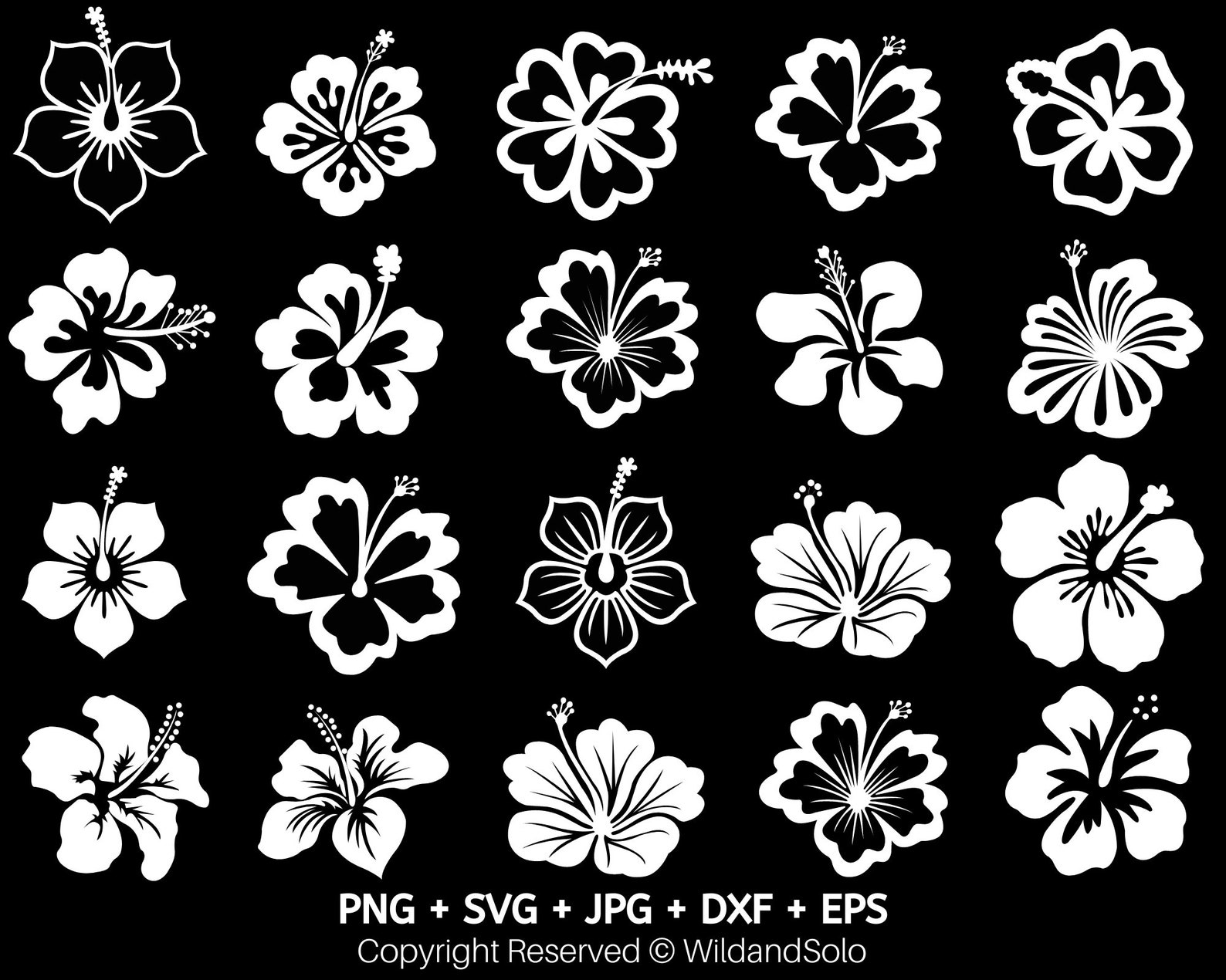20 Hawaii Hibiscus Flower Svg Bundle Tropical Flower Svg - Etsy