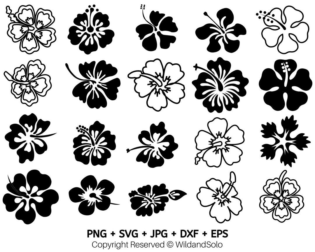 20 Hawaii Hibiscus Flower Svg Bundle, Hawaiian Flower Svg, Flowers ...